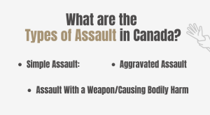 Aggravated Assault in Canada: Charges, Penalties, and Defences Explained.